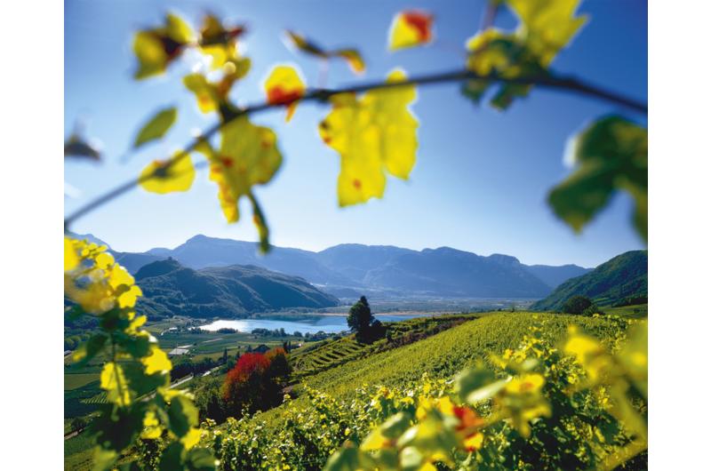 Gruppenreise Verona, Padua und Südtirol mit der Autorin Beatrix Schell